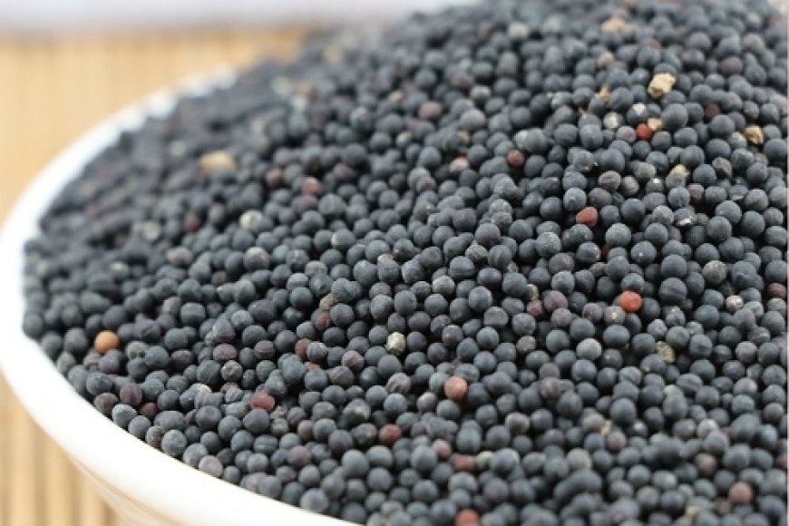 Khám Phá Vương Bất Lưu Hành (Semen Vaccariae): Vị Thuốc Đông Y Giúp ...