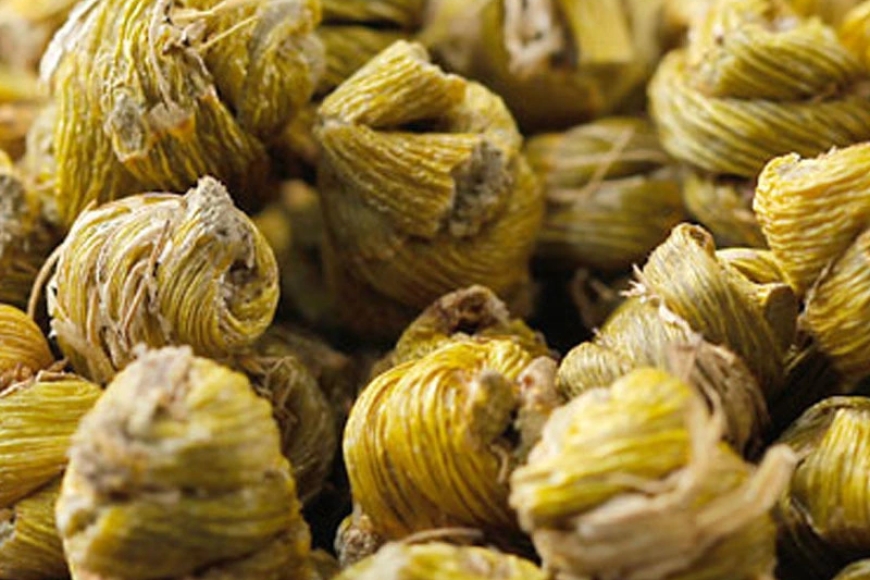 Thạch Hộc (Herba Dendrobii): Vị Thuốc Đông Y Kỳ Diệu Cho Sức Khỏe Âm và ...