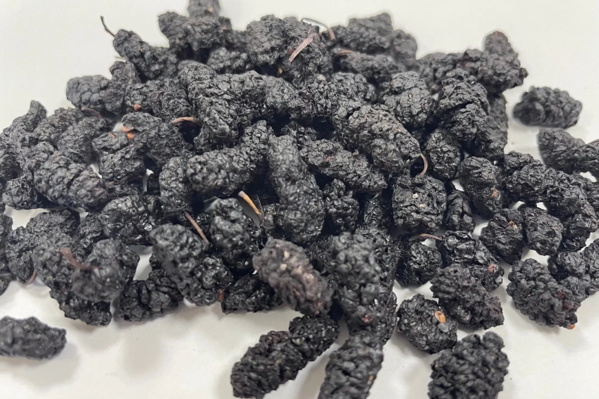 Tang Thầm (Fructus Mori): Vị Thuốc Đông Y Bổ Âm và Dưỡng Huyết Hiệu Quả - Cây Thuốc Vị Thuốc