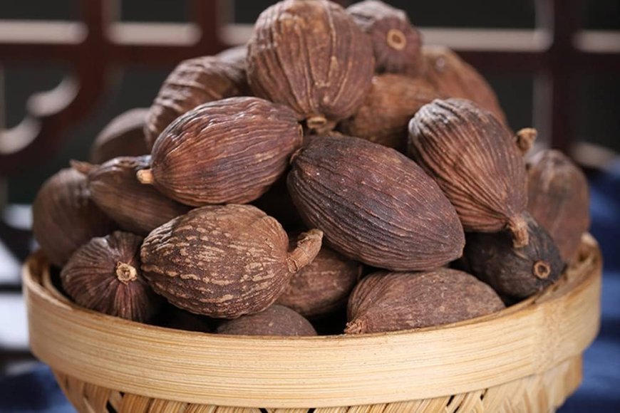Thảo Quả (Fructus Amomi Tsaoko): Vị Thuốc Đông Y Táo Thấp Mạnh và Trừ ...
