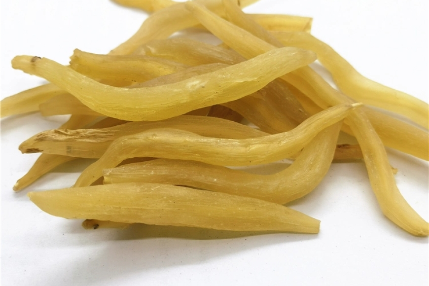 Thiên Môn Đông (Radix Asparagi): Vị Thuốc Dưỡng Thận Âm và Thanh Phế ...